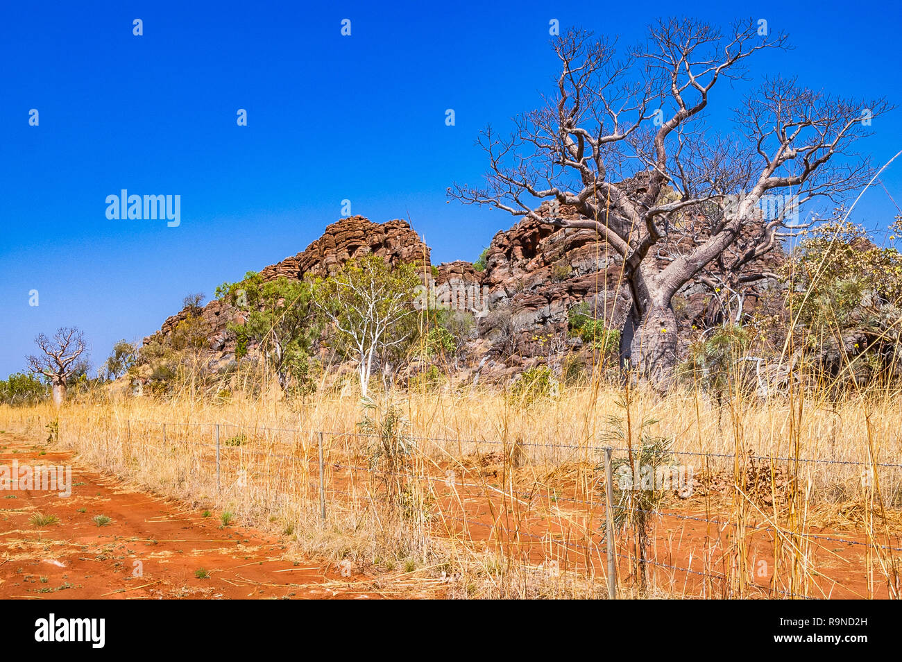 Napier ranges western australia hi-res stock photography and images - Alamy