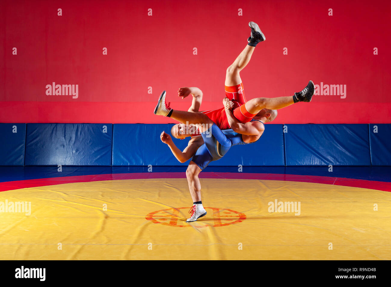 Two greco-roman wrestlers in red and blue uniform making a suplex ...