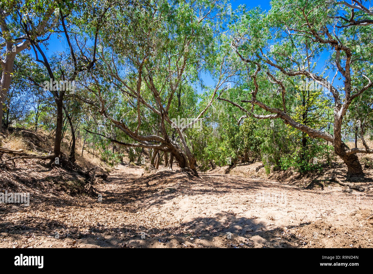 Napier downs hi-res stock photography and images - Alamy