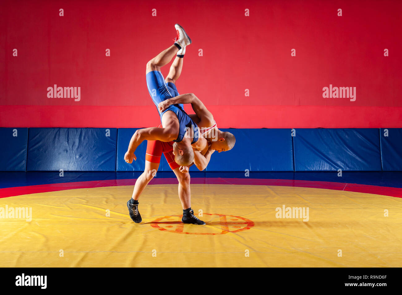 Two strong wrestlers in blue and red wrestling tights are wrestlng and ...