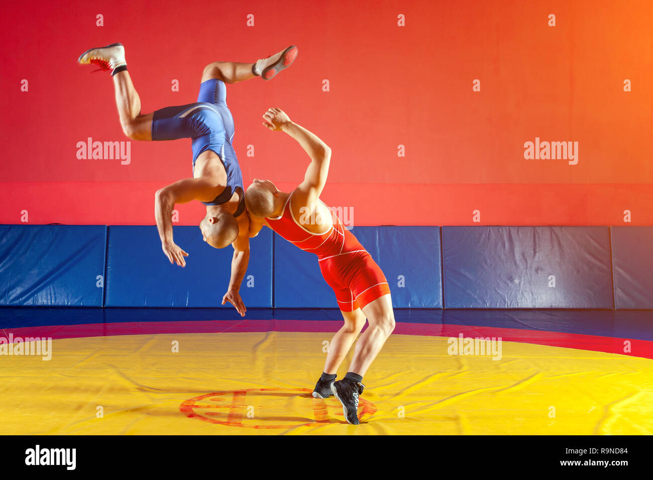 Two strong wrestlers in blue and red wrestling tights are wrestlng and ...