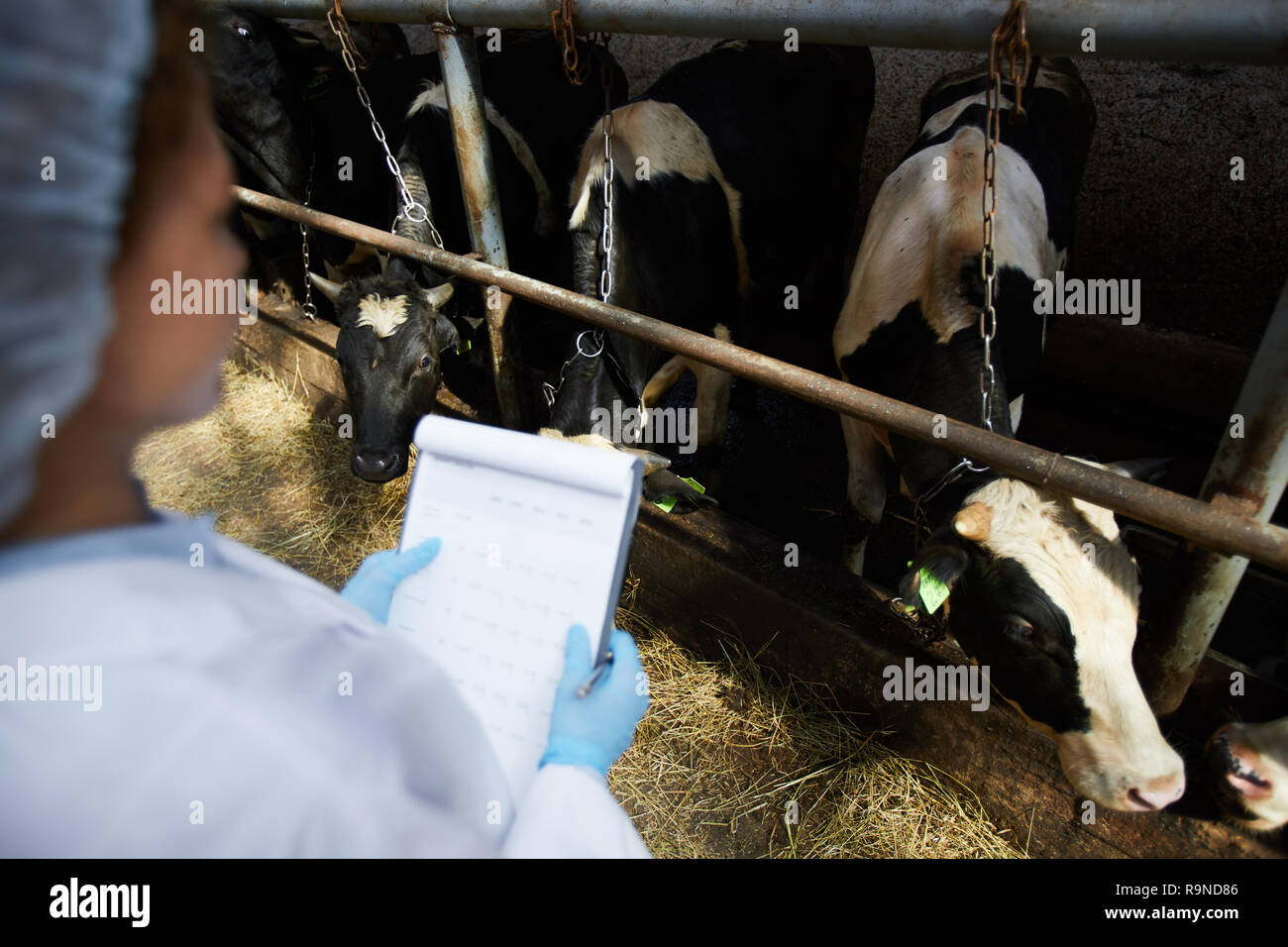 Work in farm Stock Photo - Alamy