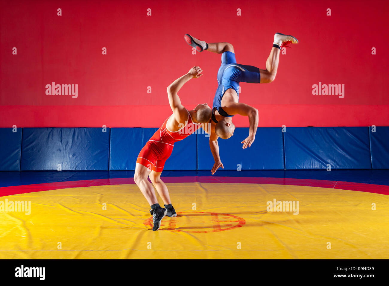 Two strong wrestlers in blue and red wrestling tights are wrestlng and ...