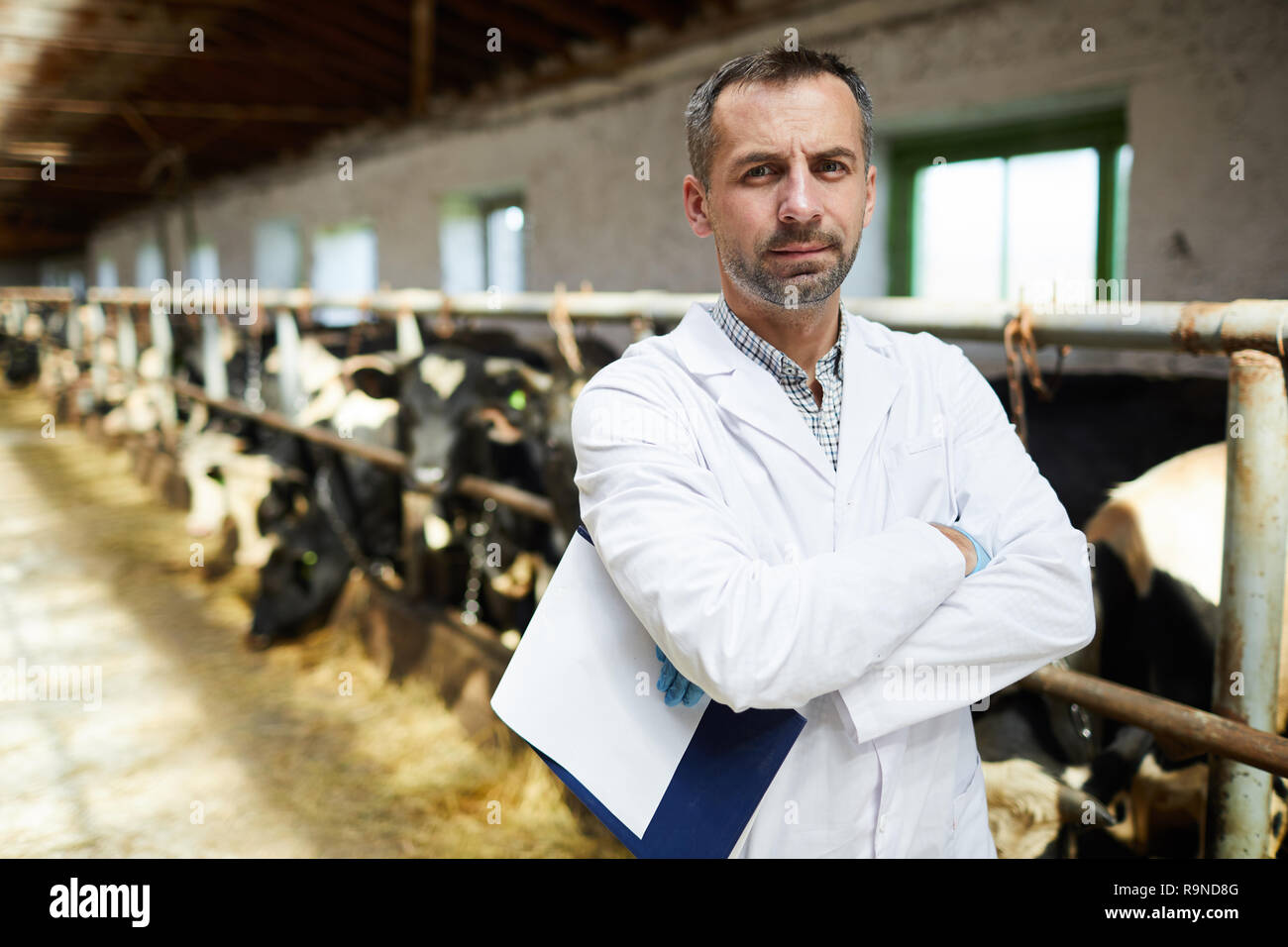Livestock worker hi-res stock photography and images - Alamy
