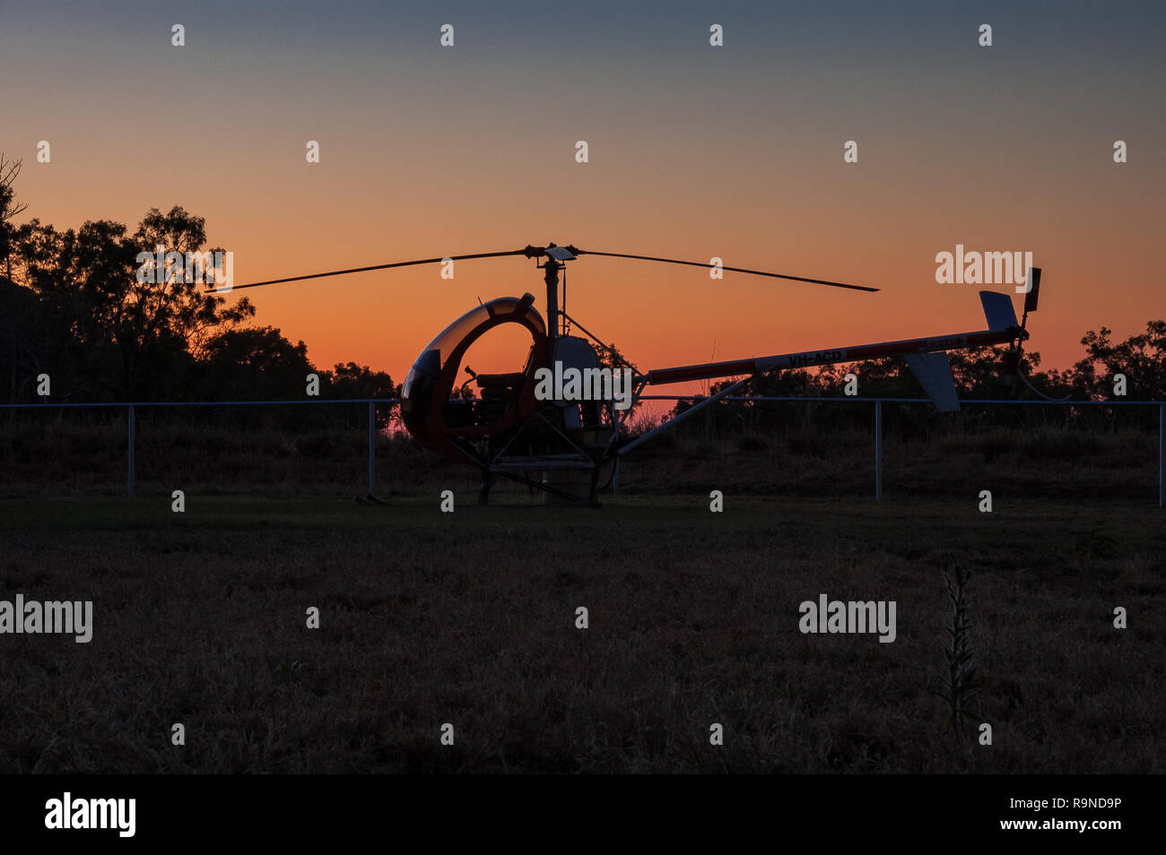 Cattle on outback station in hi-res stock photography and images - Alamy