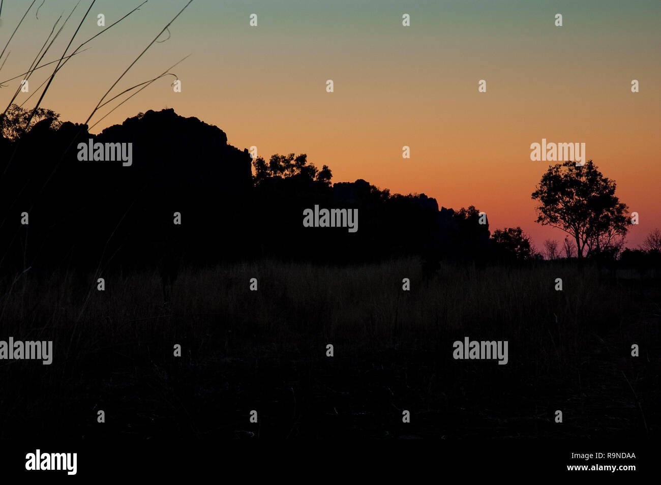 Napier downs cattle station hi-res stock photography and images - Alamy