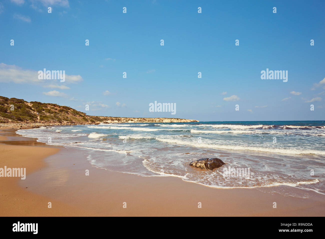 Akamas peninsula turtle hi-res stock photography and images - Alamy