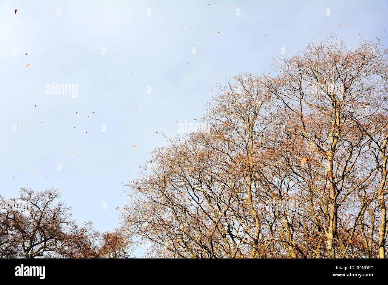 Storm breeze hi-res stock photography and images - Alamy