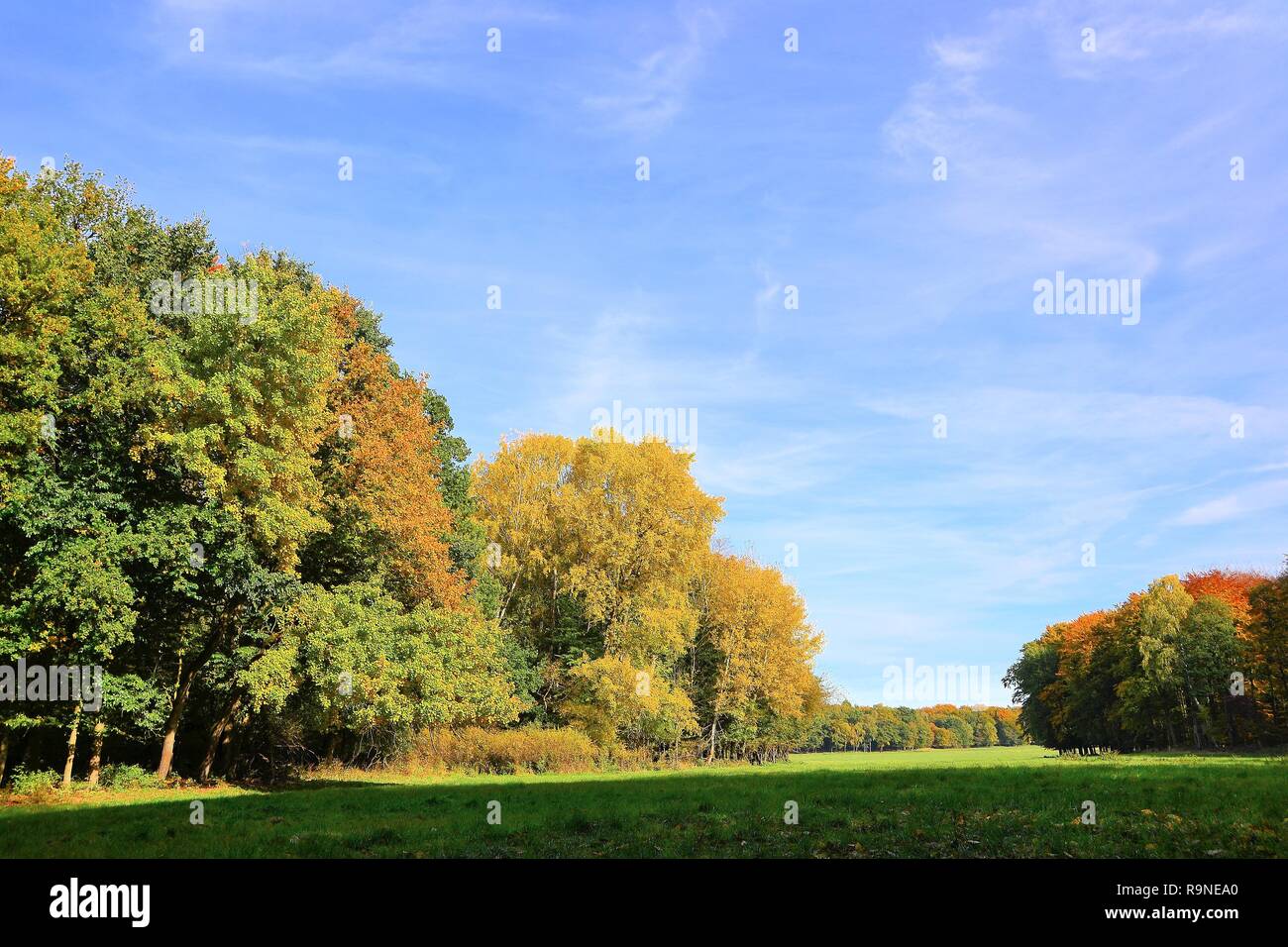 Grounds clearing hi-res stock photography and images - Alamy