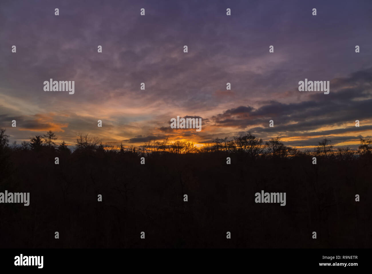A colorful sun up above a forest in Germany Stock Photo - Alamy