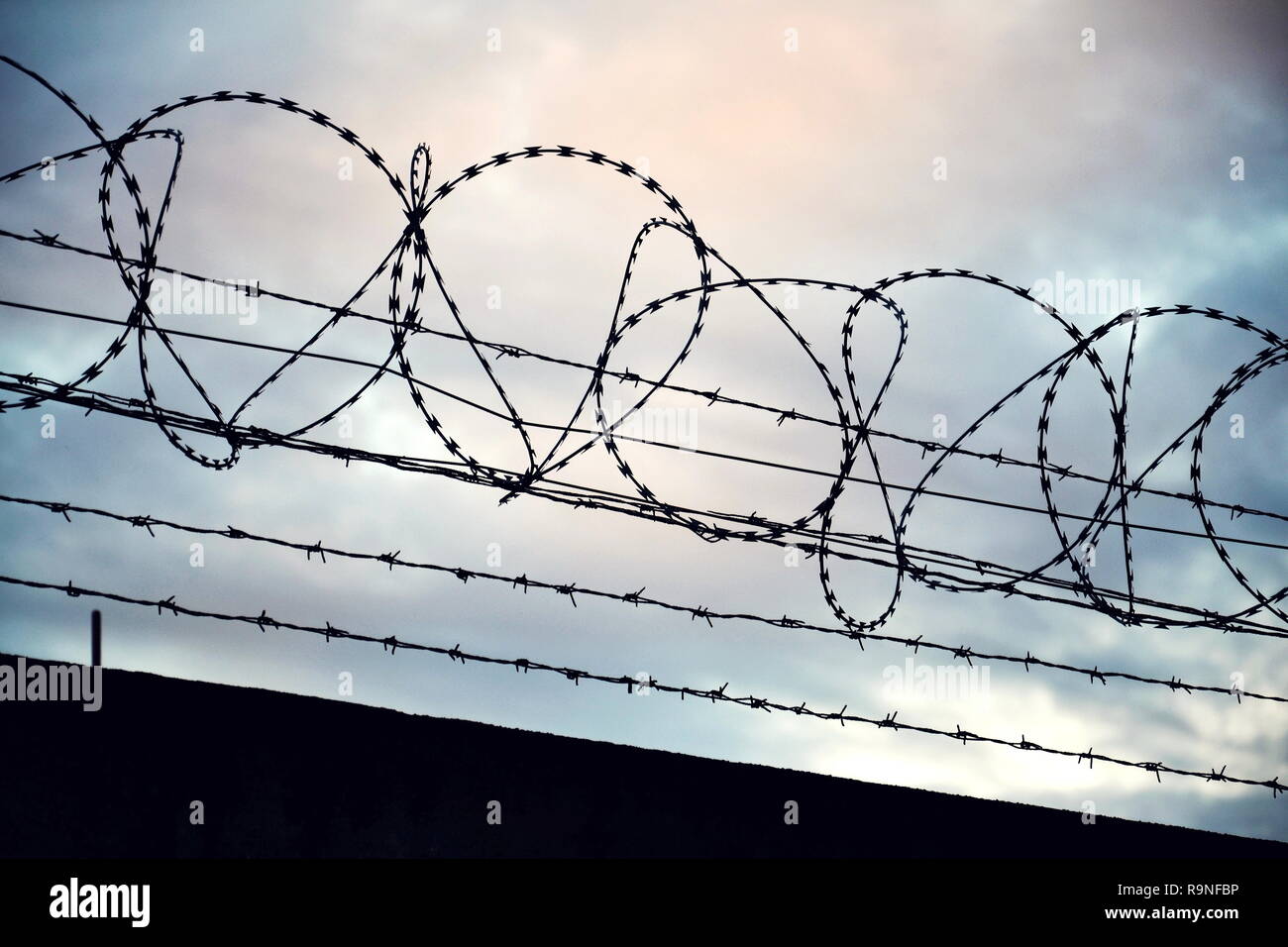 Barbed wire fence layed around prison walls Stock Photo - Alamy