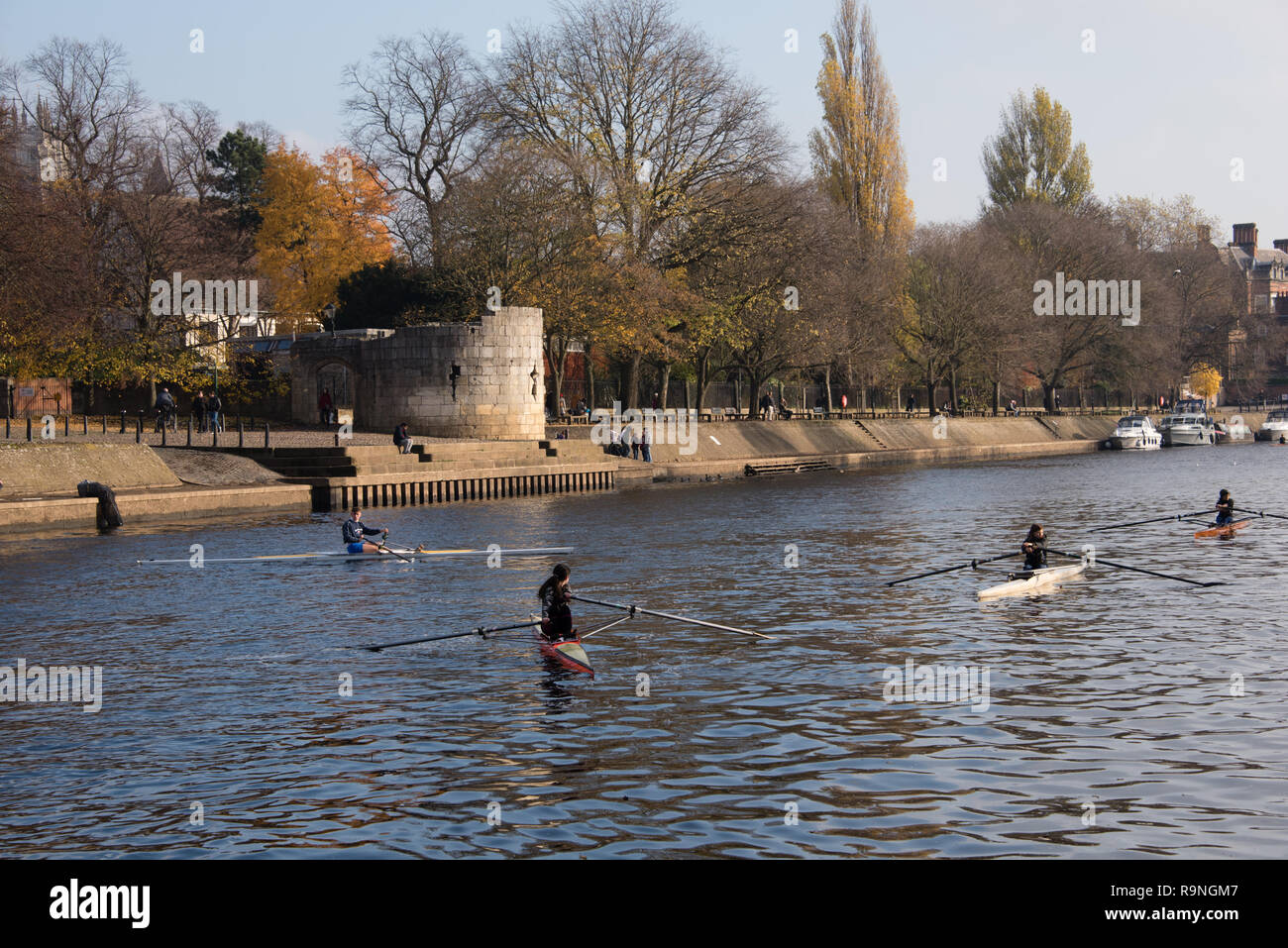 York rowing hi-res stock photography and images - Alamy