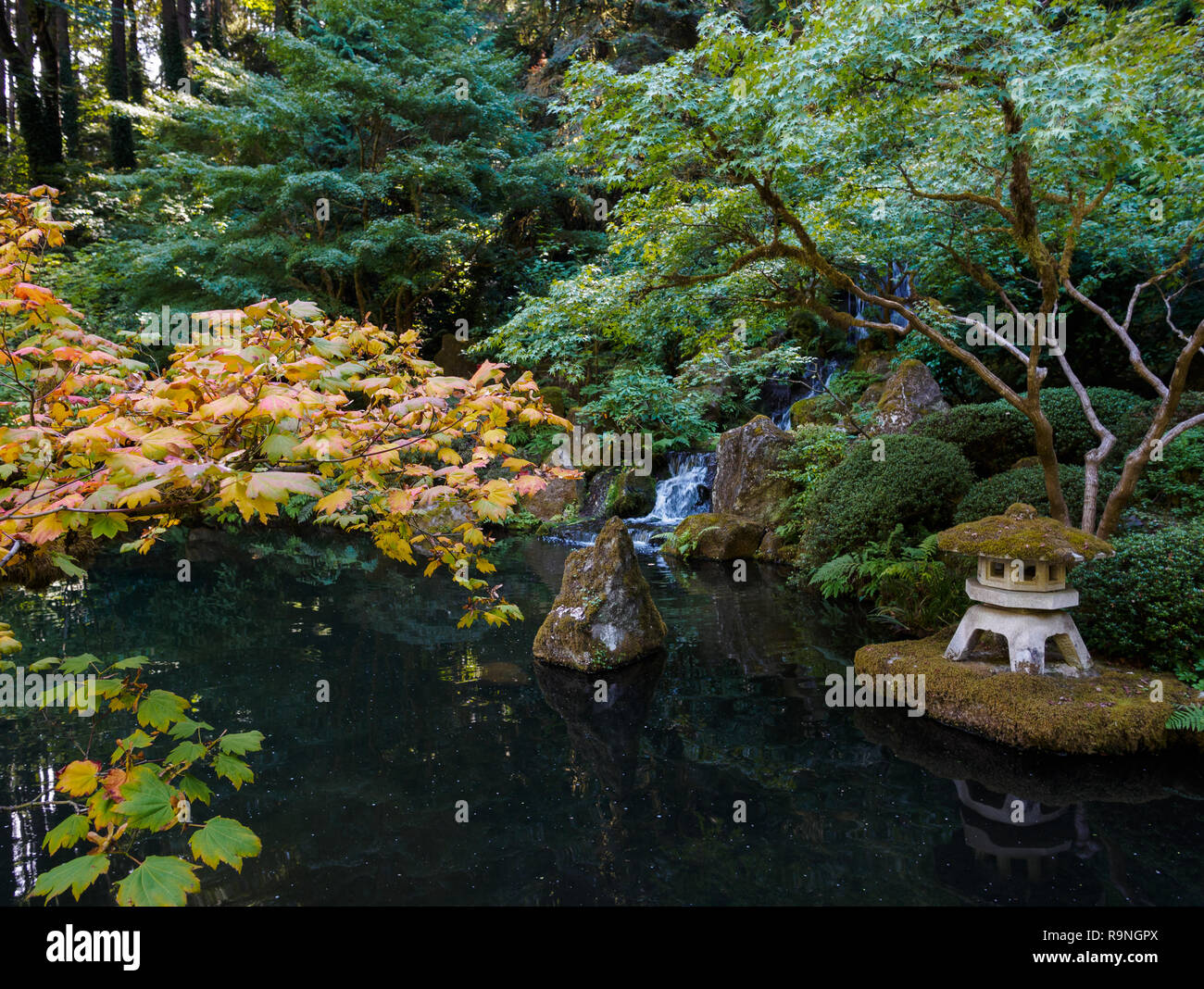 Portland japanese garden hi-res stock photography and images - Alamy