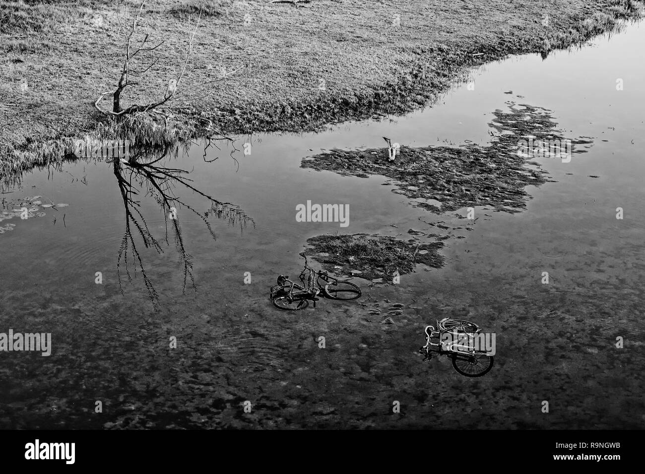 Environmental pollution Black and White Stock Photos & Images - Alamy