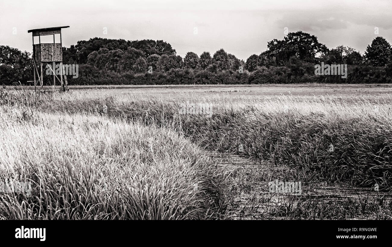 High stand hi-res stock photography and images - Alamy