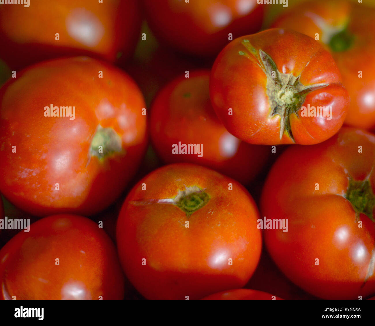 Tomato seconds in a pile Stock Photo - Alamy