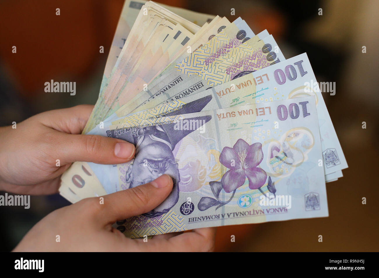 100 lei banknotes hi-res stock photography and images - Alamy