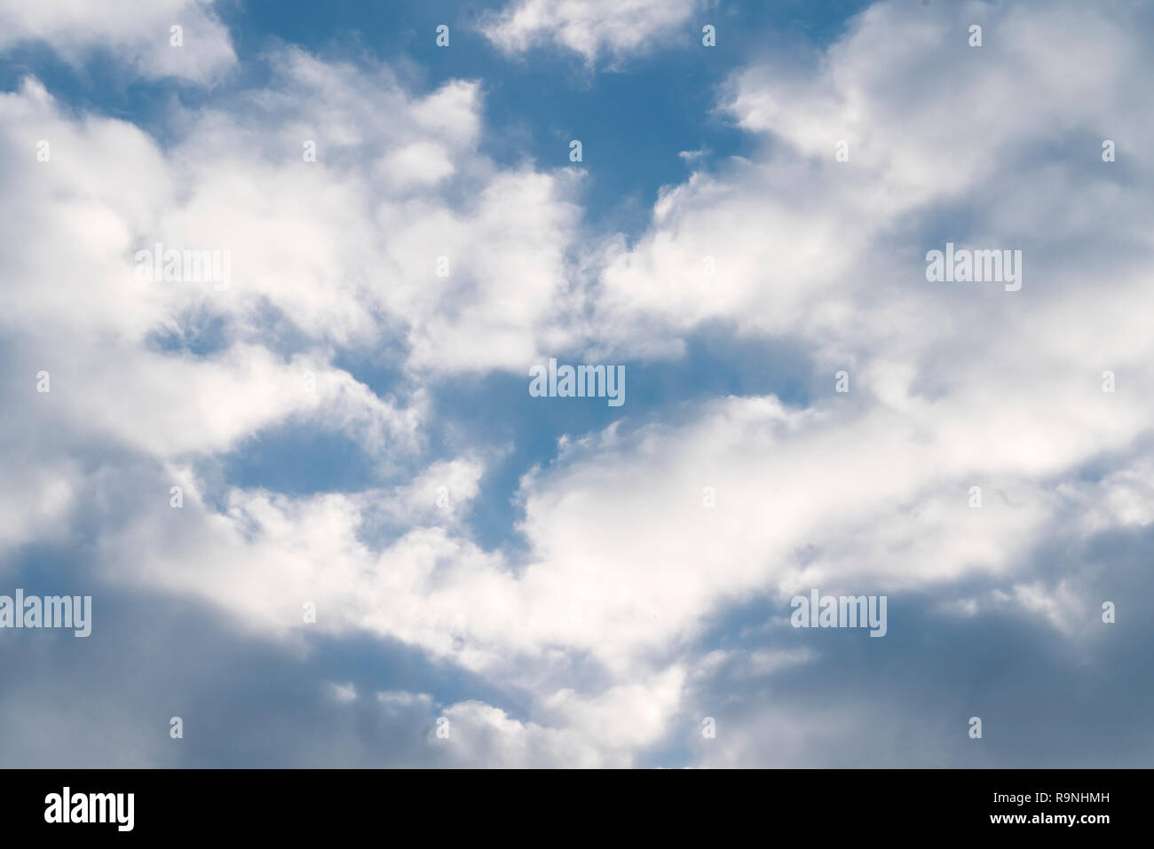 Luminous environment hi-res stock photography and images - Alamy