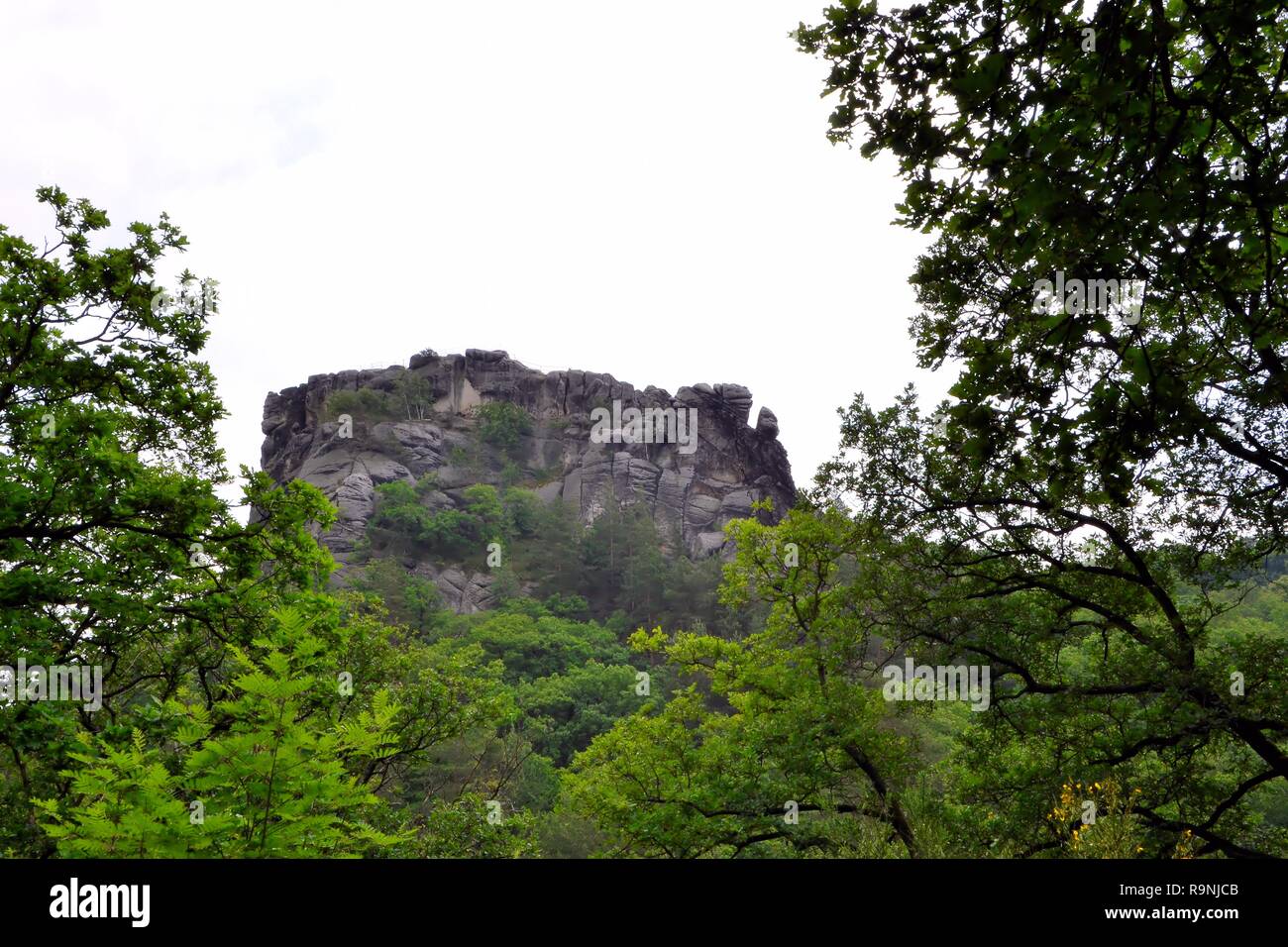 Regenstein hi-res stock photography and images - Alamy