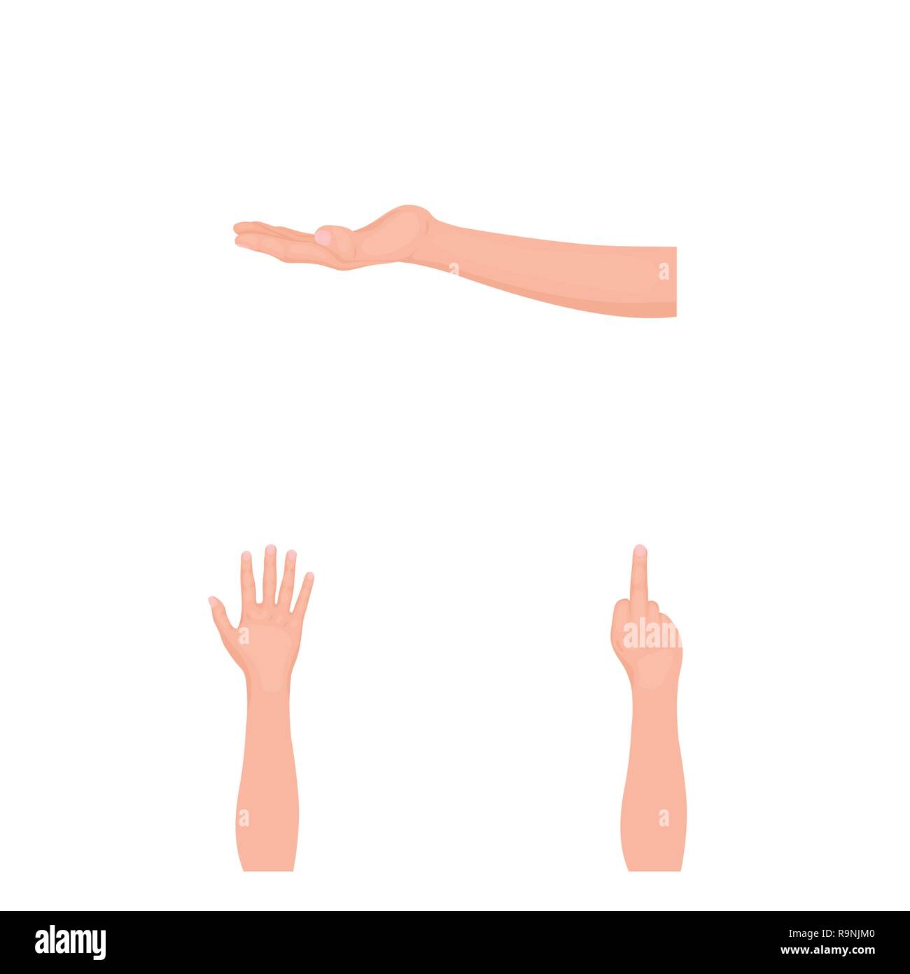 hand,hold,woman,arm,finger,anatomy,animated,thumb,brachioplasty,gesture ...