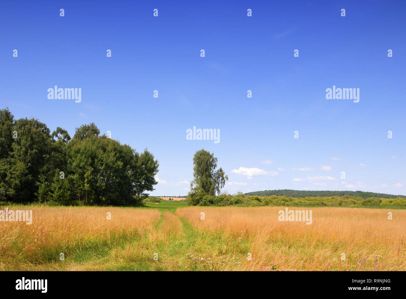 Nature landscape in Brandenburg Stock Photo - Alamy