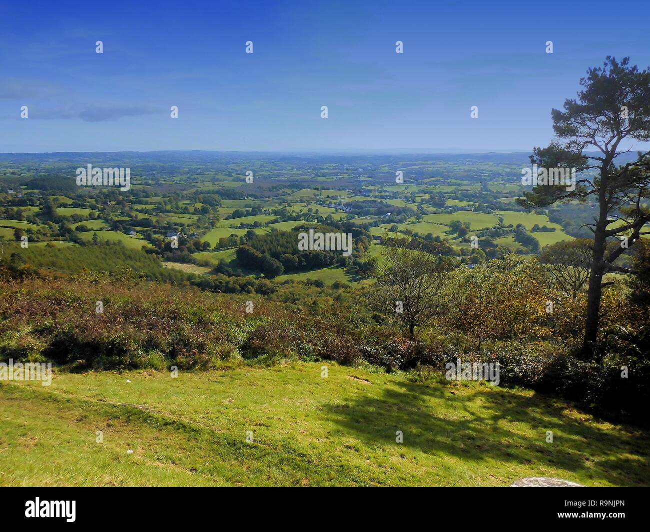 Landscape in Ireland Stock Photo - Alamy