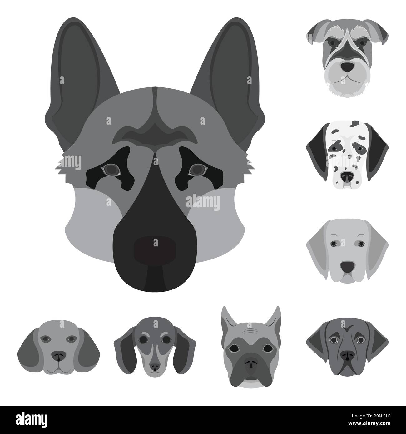 Gray poodle Stock Vector Images - Alamy