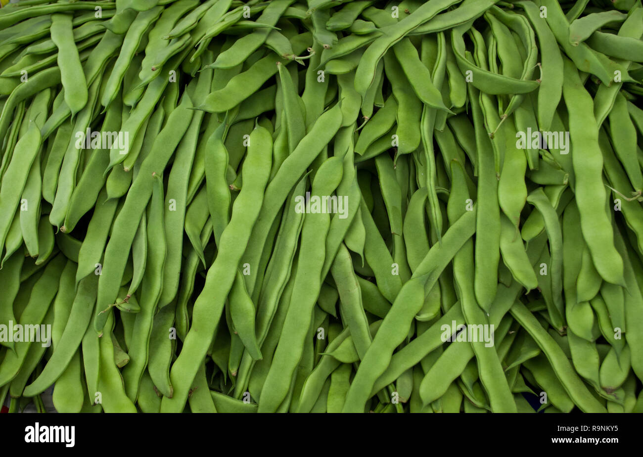 Bush bean hi-res stock photography and images - Alamy