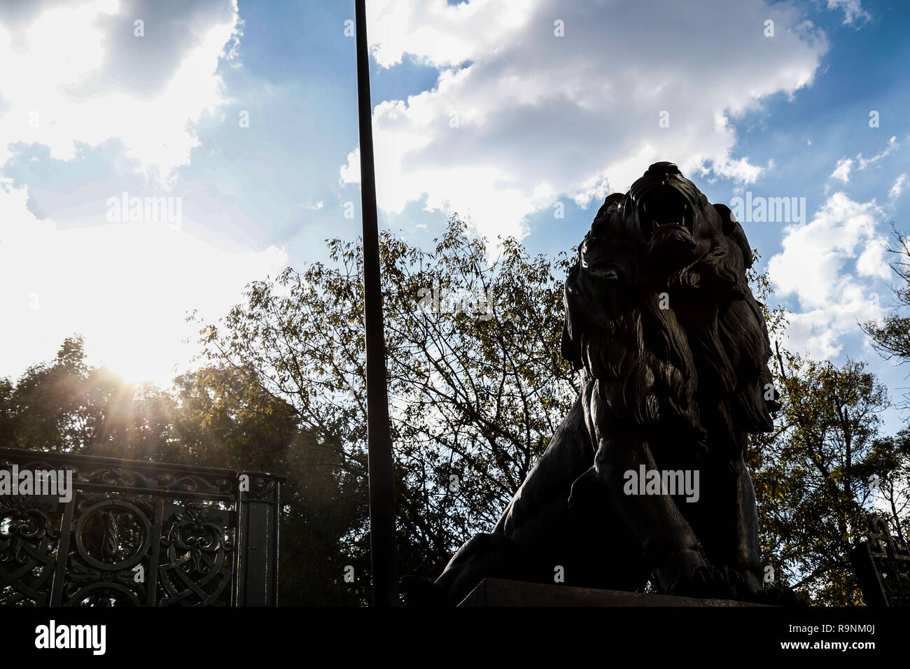 El bosque de Chapultepec. parque urbano en la Ciudad de México. (Foto ...