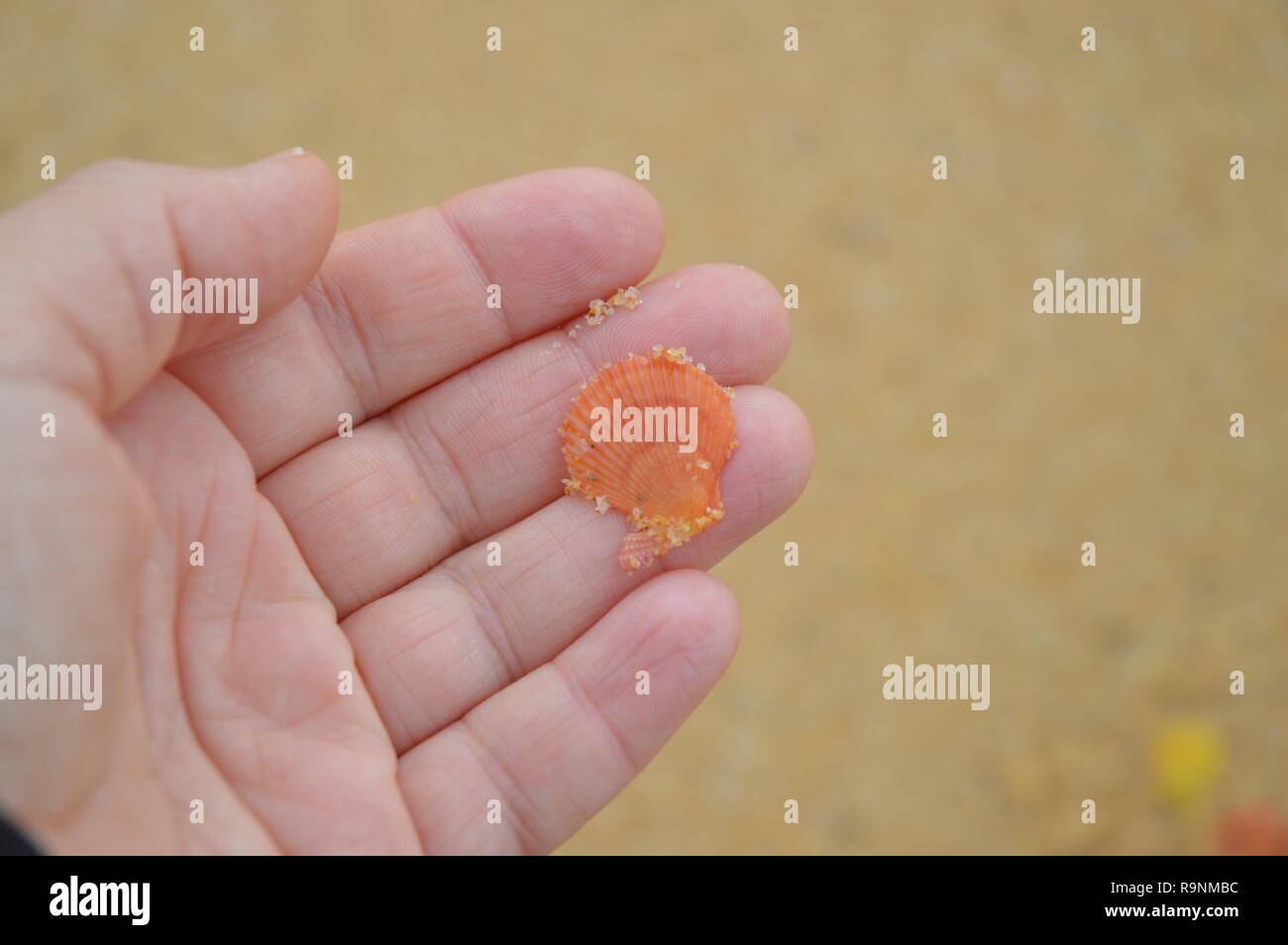 Fingers in sand hi-res stock photography and images - Alamy