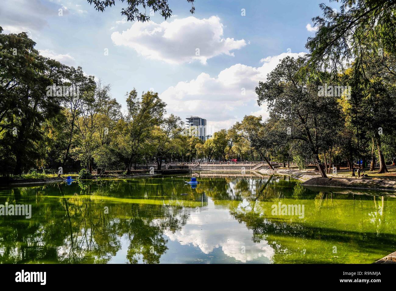 Lake and forest The forest of Chapultepec. urban park in Mexico City ...