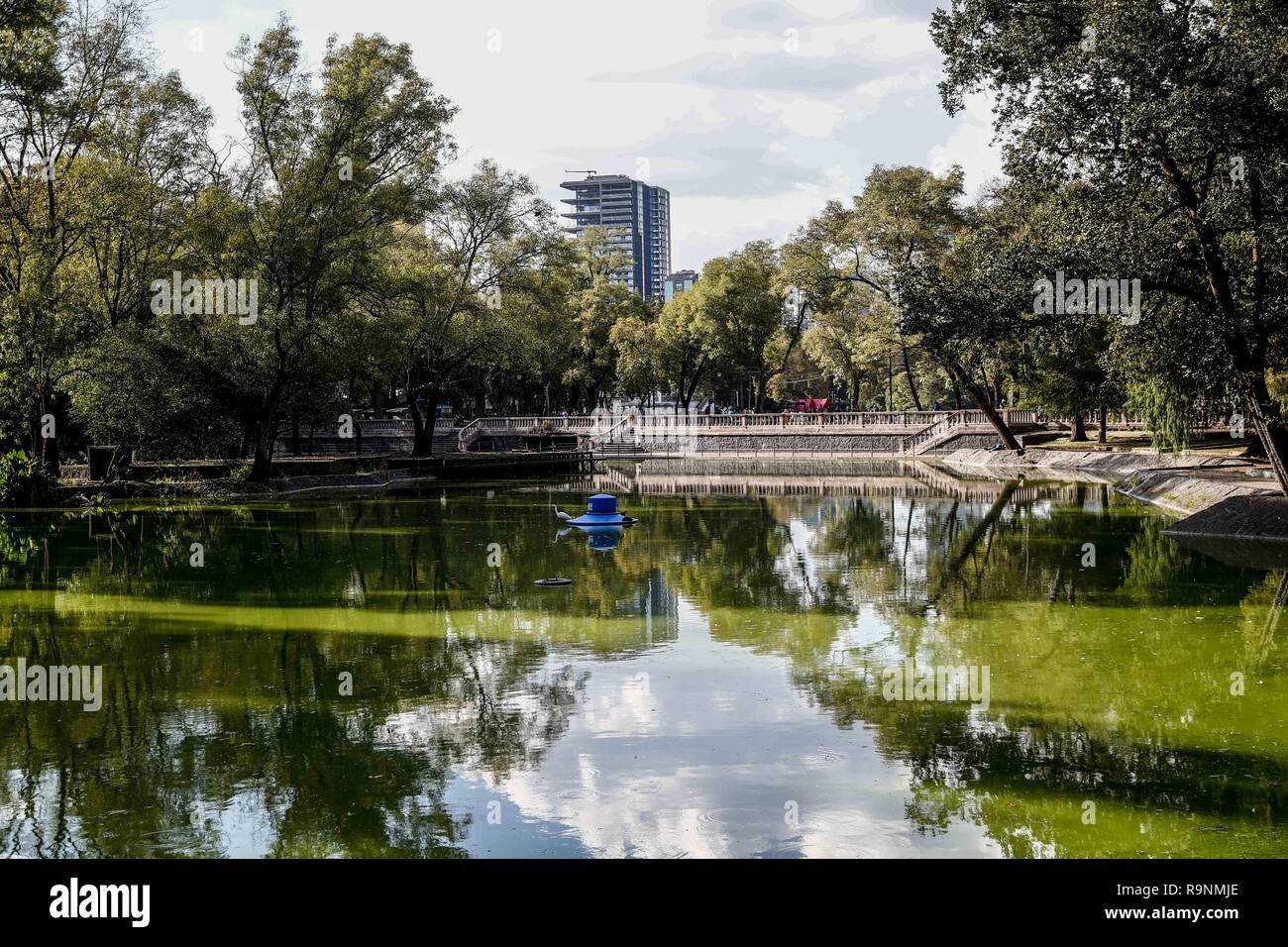 Lake and forest The forest of Chapultepec. urban park in Mexico City ...