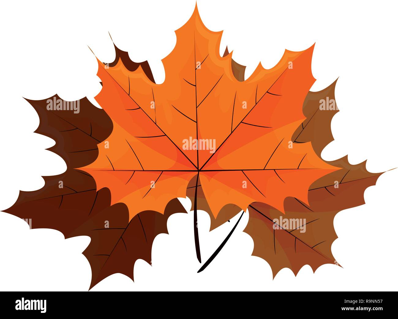 dry leaves over white background, colorful design, vector illustration ...