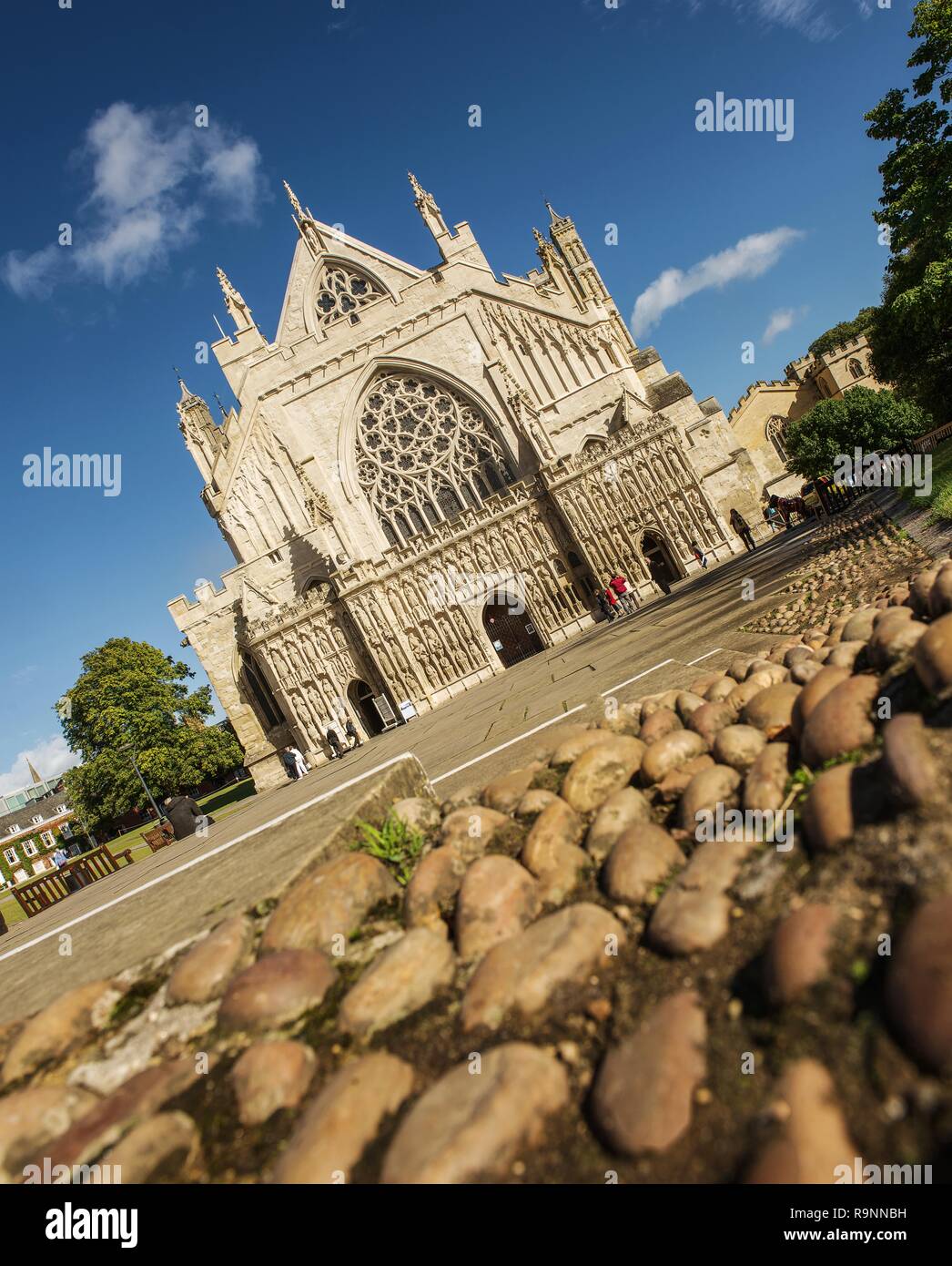 Exeter Cathedral and Close, Exeter Stock Photo - Alamy