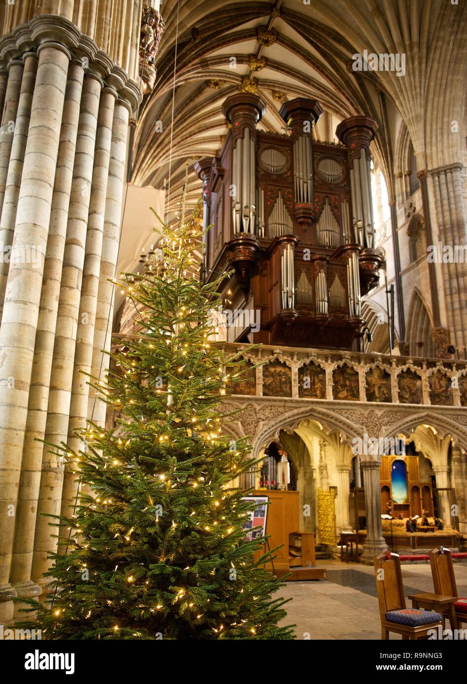Exeter Cathedral and Close, Exeter Stock Photo - Alamy