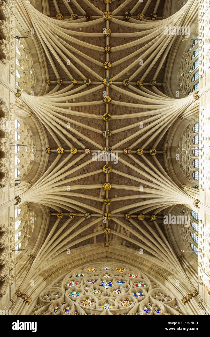 Exeter Cathedral and Close, Exeter Stock Photo - Alamy