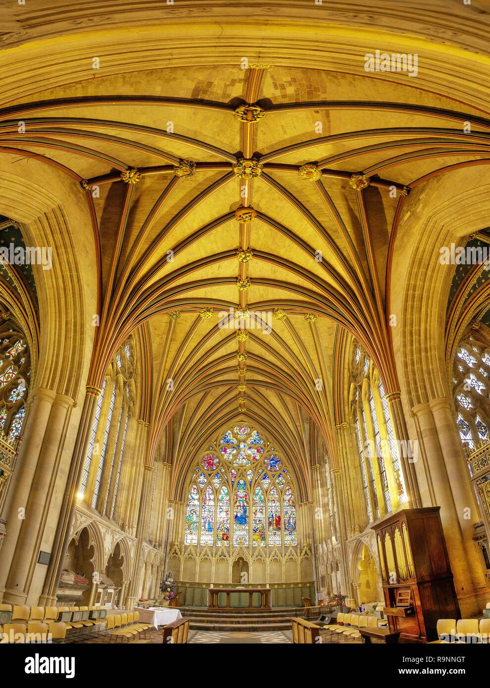 Exeter Cathedral and Close, Exeter Stock Photo - Alamy