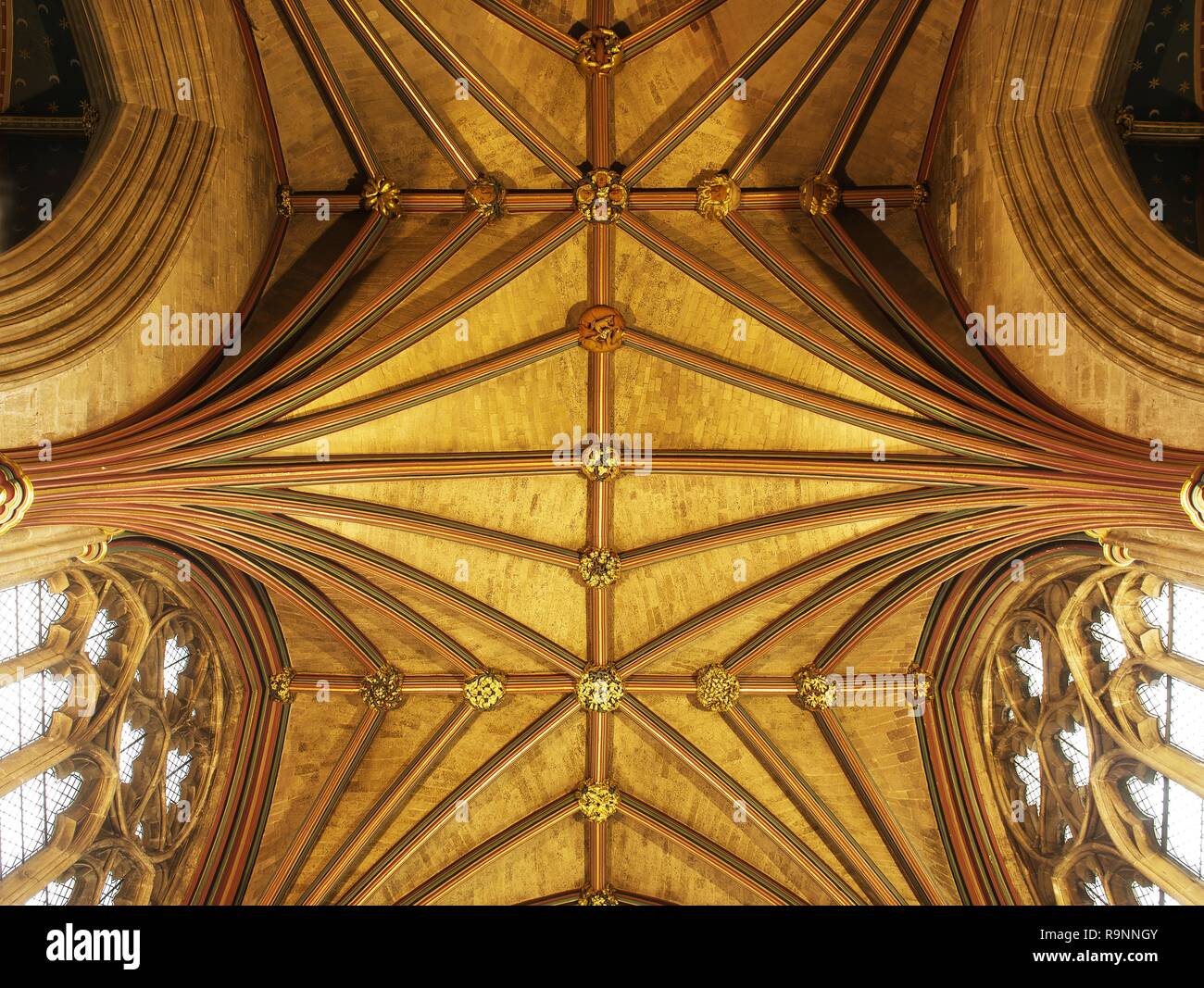 Exeter Cathedral and Close, Exeter Stock Photo - Alamy