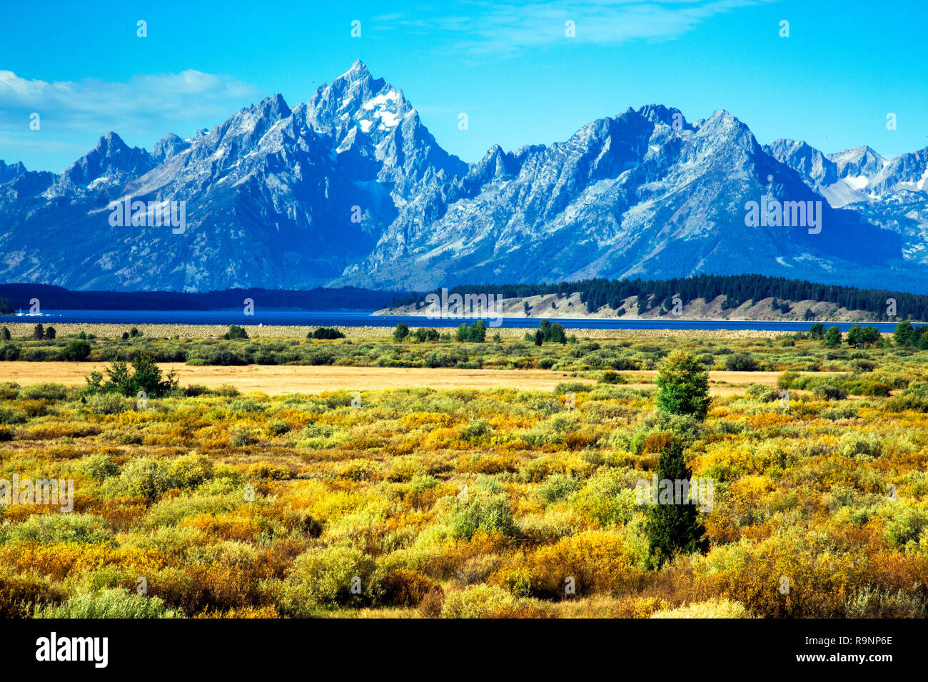 Mount Grand Teton from Willow Flats in Grand Teton National Park ...