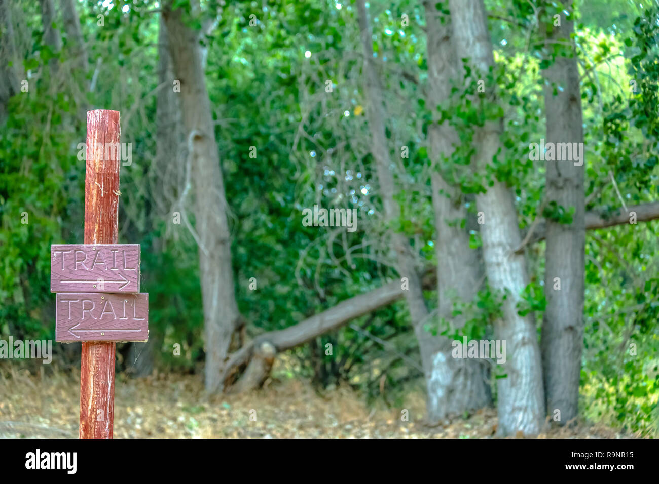 Hiking trail signs in the wilderness of Provo Utah Stock Photo - Alamy
