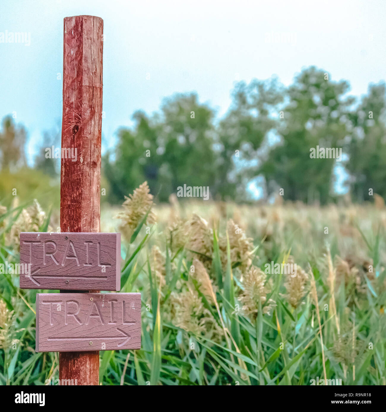 Direction sign hiking trail hi-res stock photography and images - Alamy