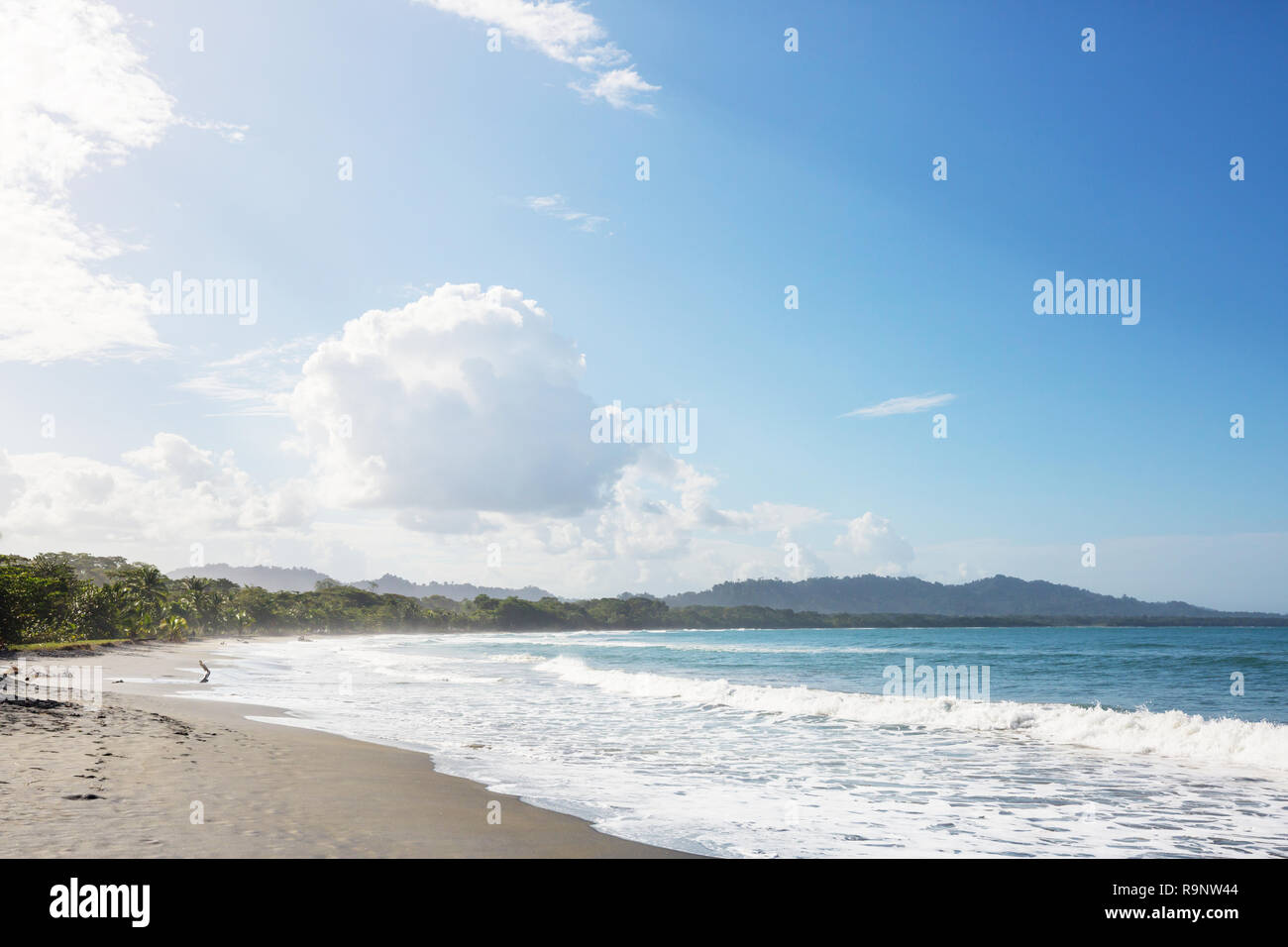Beautiful tropical Pacific Ocean coast in Costa Rica Stock Photo - Alamy