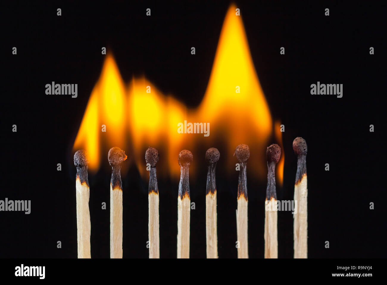 group of burn and unburned matches, isolated on black background Stock ...