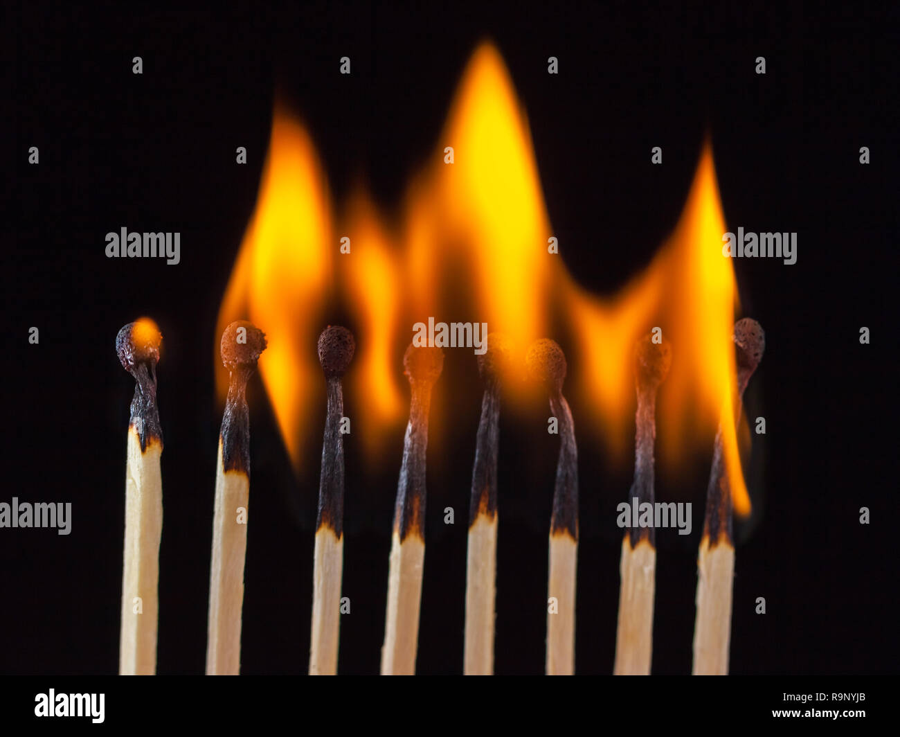 group of burn and unburned matches, isolated on black background Stock ...