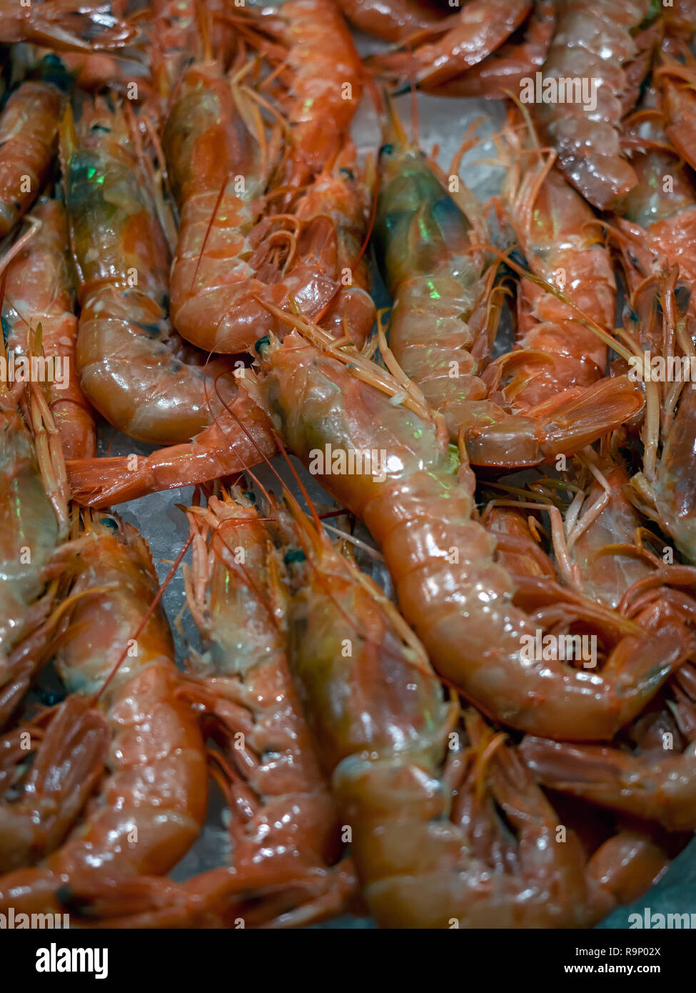 Market prawns seafood hi-res stock photography and images - Alamy
