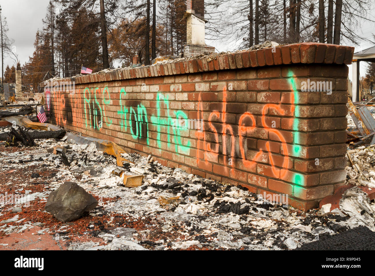 Motivation - These images were captured in neighborhoods near Santa ...