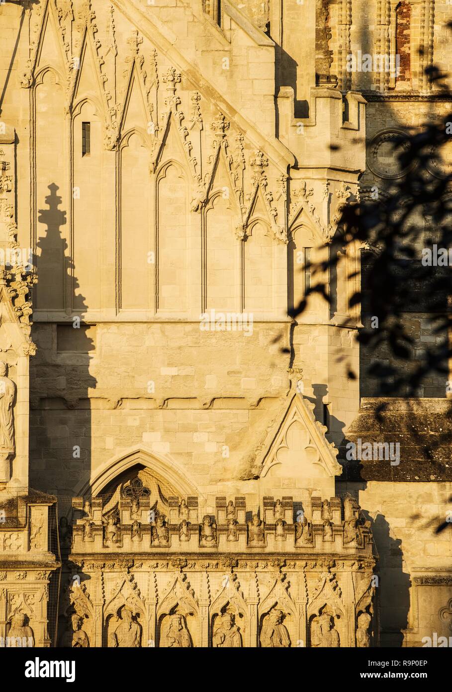 Heritage buildings exeter cathedral hi-res stock photography and images ...