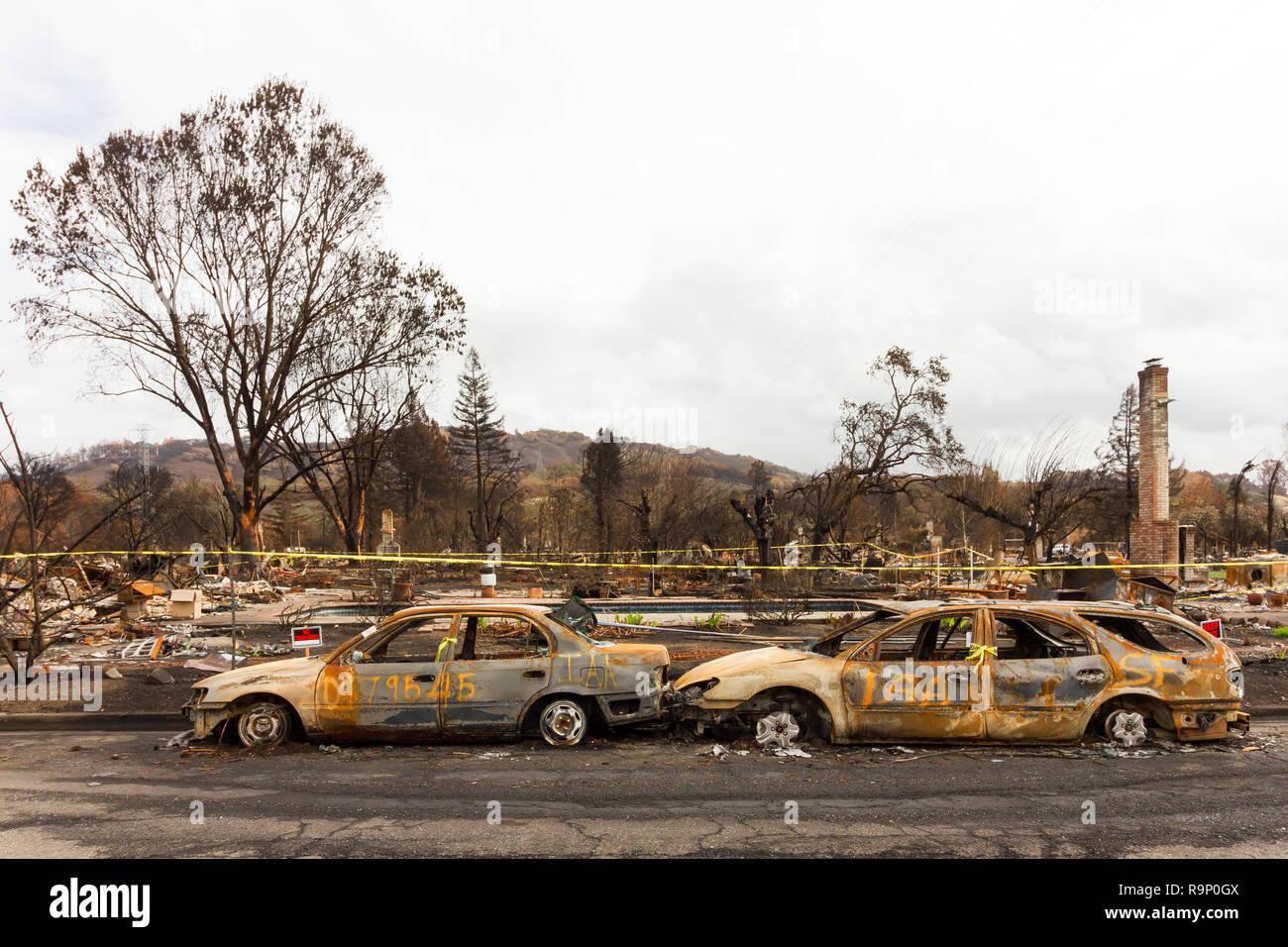 Street Scene - These images were captured in neighborhoods near Santa ...