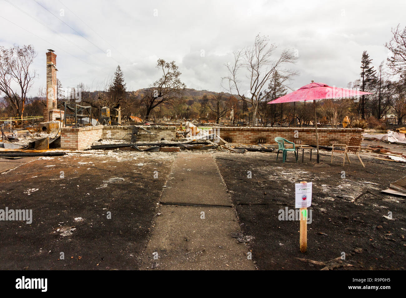 Front Yard - These images were captured in neighborhoods near Santa ...