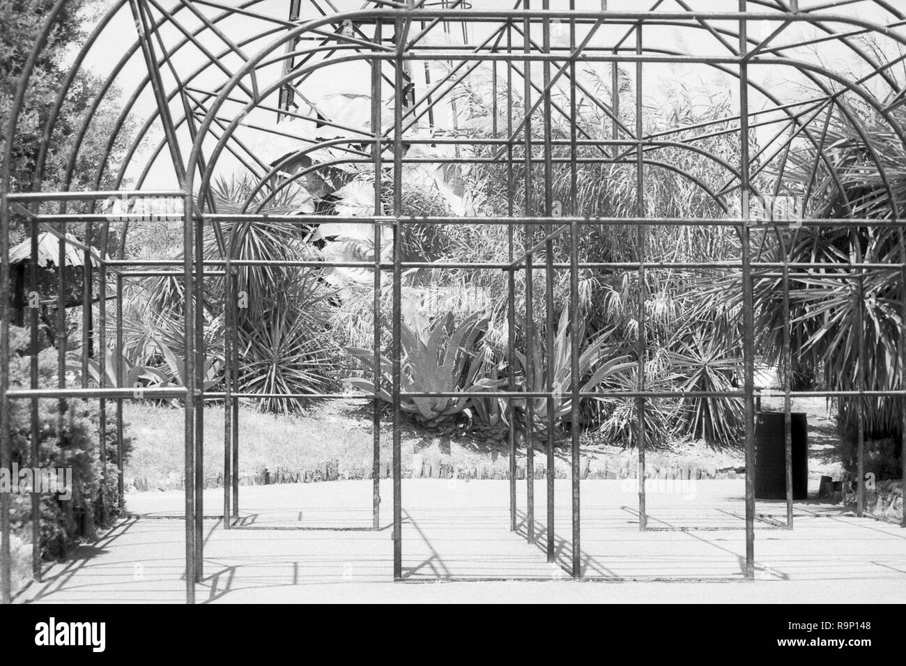 Aviary visit Black and White Stock Photos & Images - Alamy